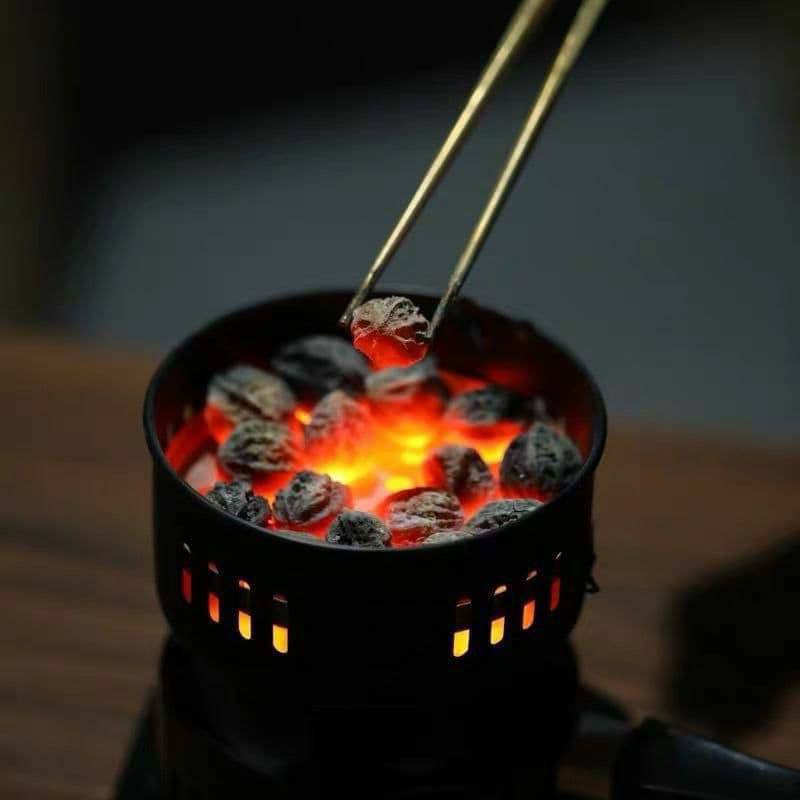 Electric Charcoal Starter – Fast Heating Grill Lighter with Advanced ...